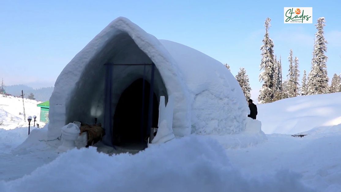 Watch Igloo Café: India’s first restaurant where even tables & benches ...