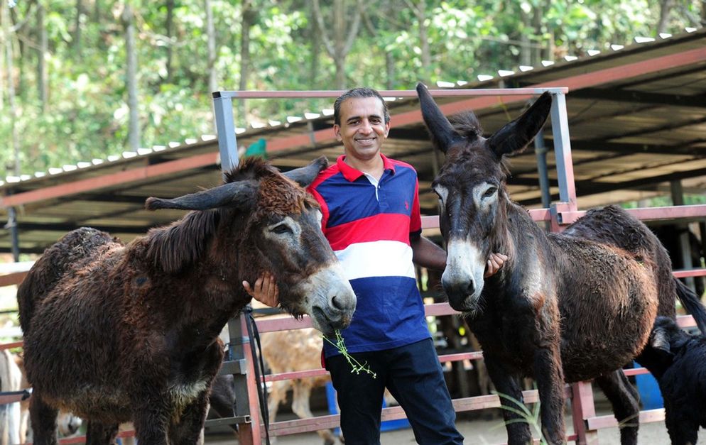 How Dolphin IBA’s donkey milk beauty products from Kerala reached 40 ...